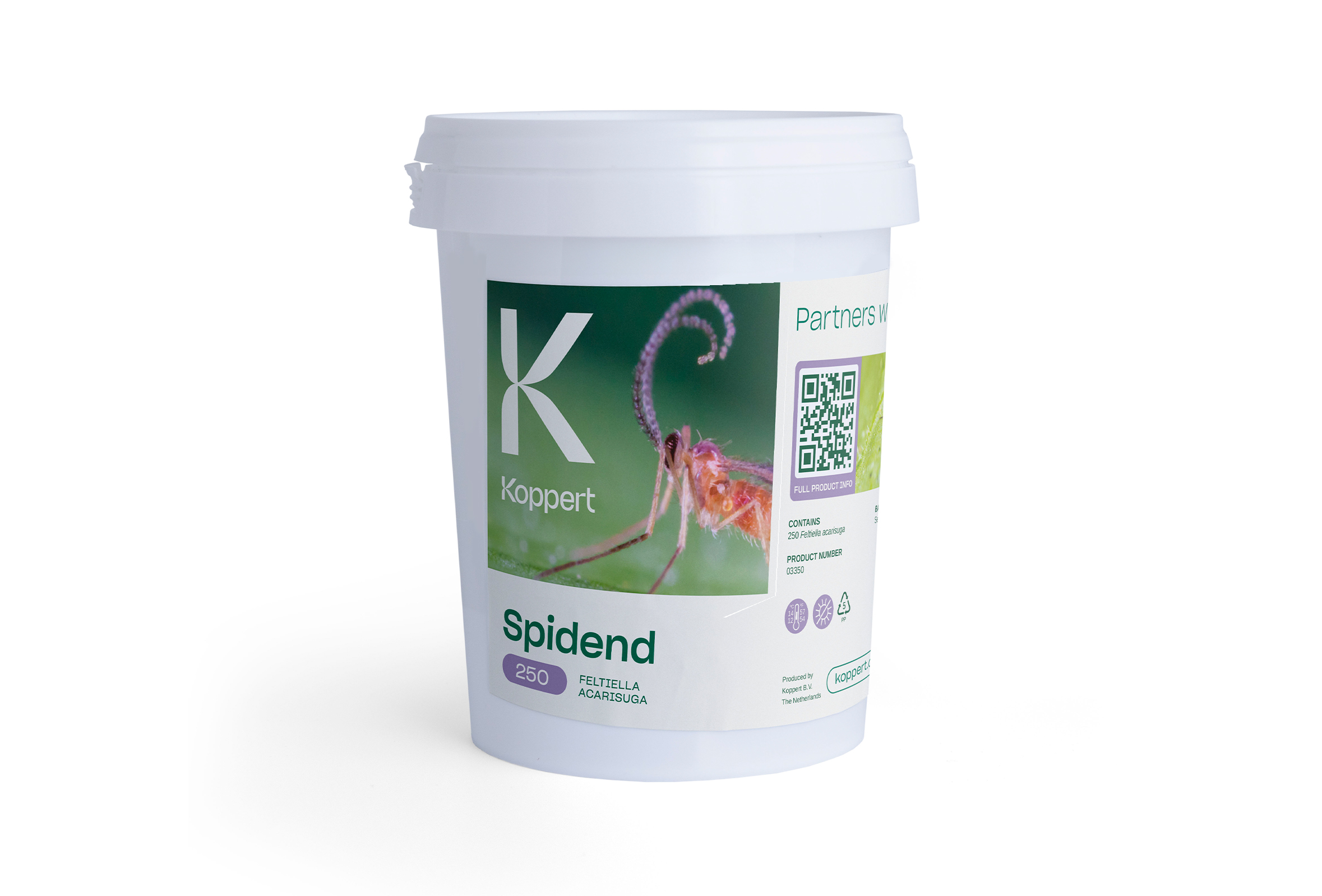 Spidend | Lutte contre les tétranyques | Cécidomyies (Feltiella acarisuga)