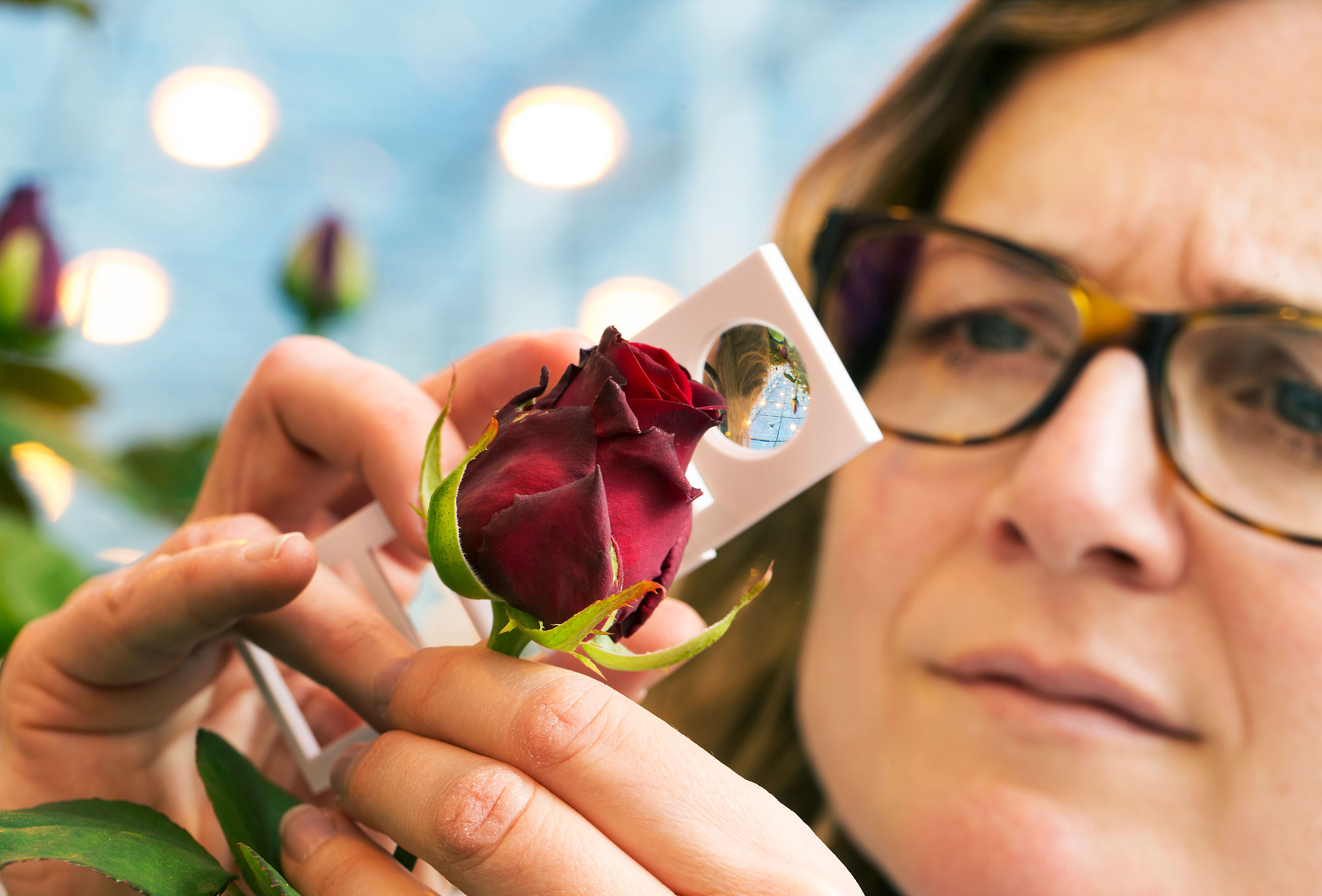 Formations Koppert | Koppert France