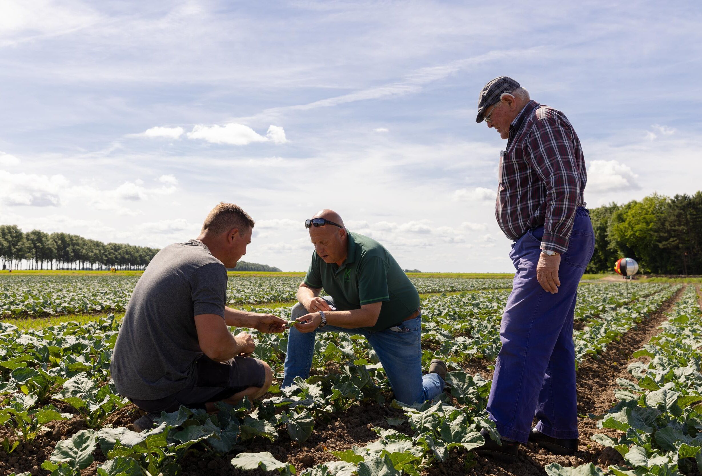 Expériences des clients - Protection biologique des cultures et ...