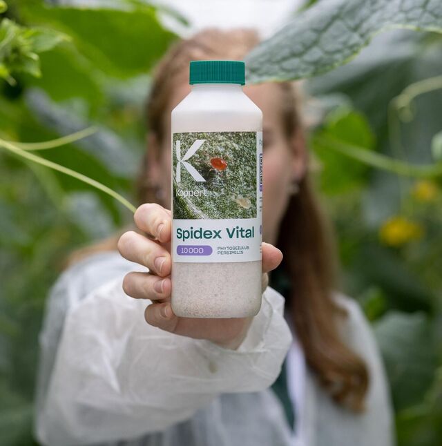 Koppert France | Protection biologique des cultures | Pollinisation ...