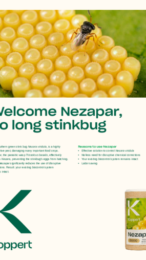 Effect of Nezapar | Koppert France